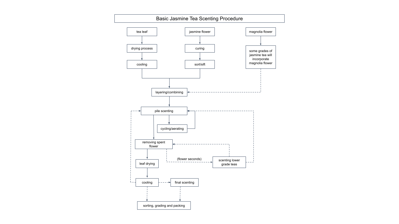 How Jasmine Green Tea Is Made Process Diagram Firsd Tea